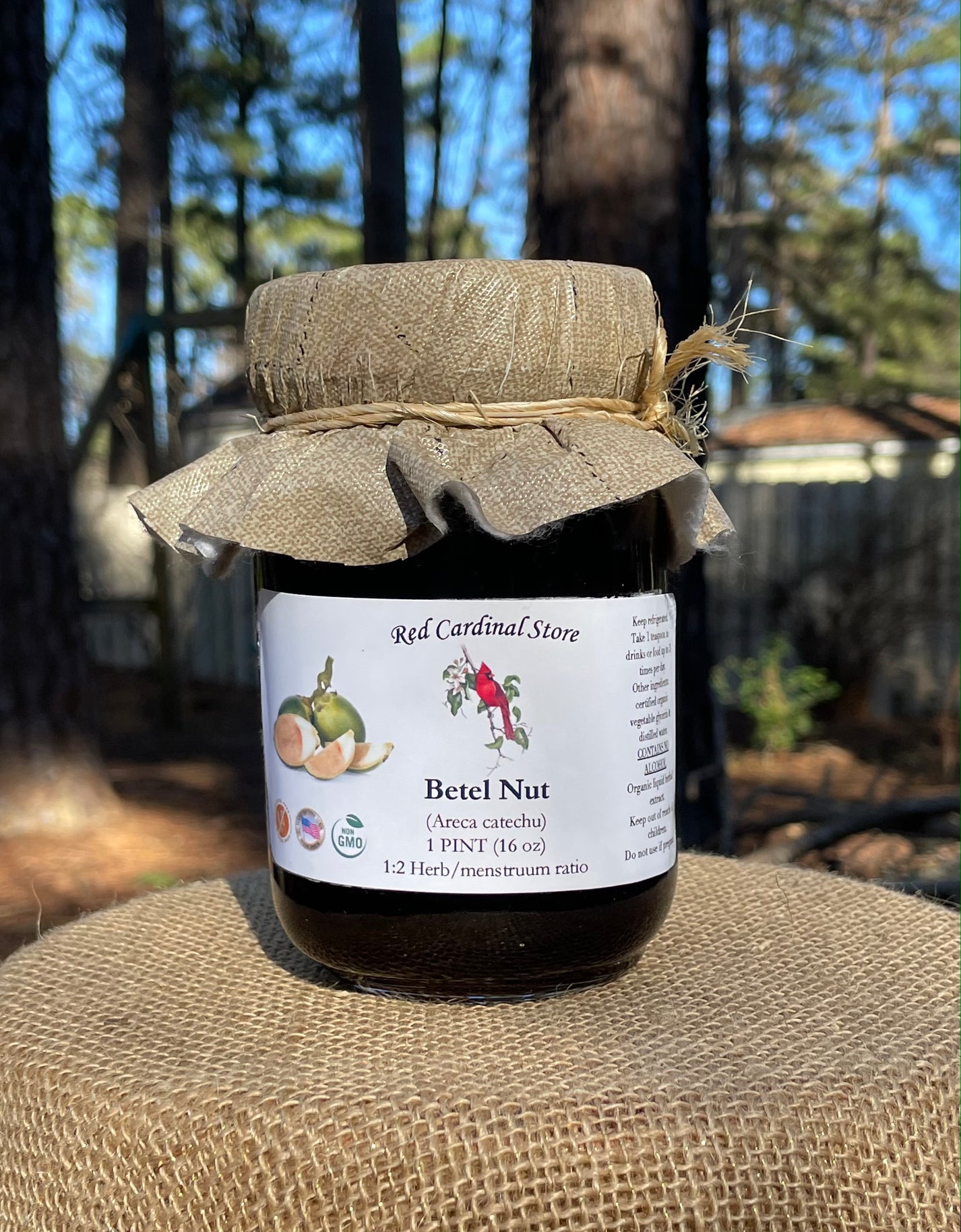 Betel Nut (Bing Lang, Areca Nut, Areca Catechu) Tincture Herb Extract – Red Cardinal Store